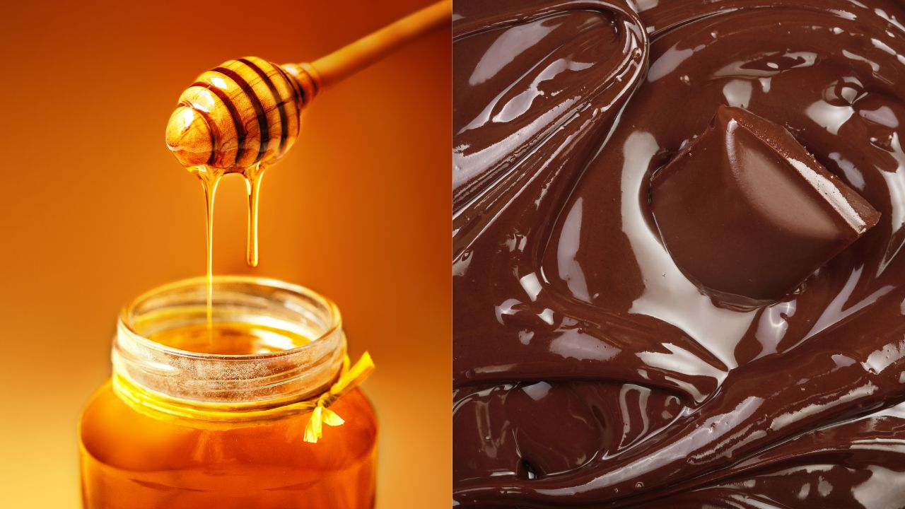 Mel sabor chocolate? Criação de brasileiros é bastante sustentável